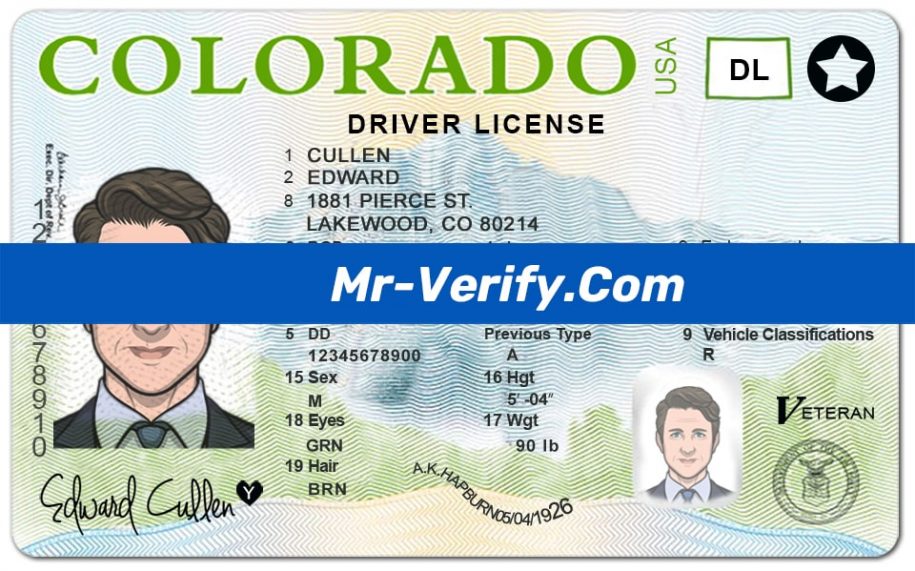 Colorado driver license Psd Template New | Mr Verify