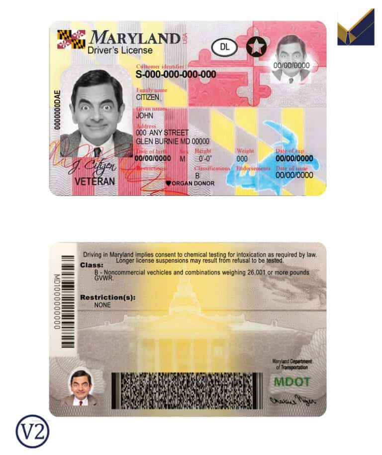 Editable USA Maryland Driver License Template | PSD Layer-Based