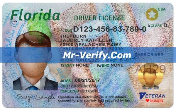 Florida Driver License Psd Template | Mr. Verify