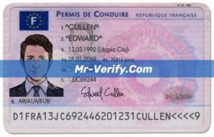 France Driver License Psd Template | Mr. Verify