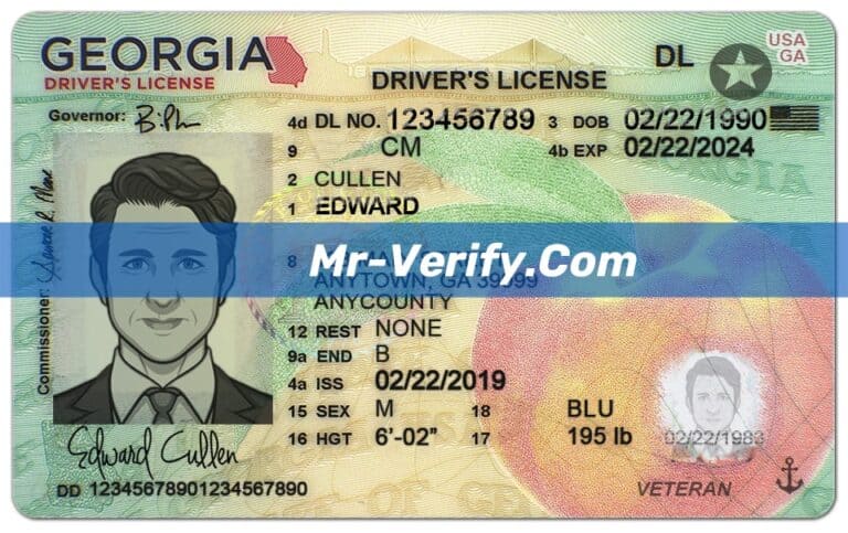 Georgia driver license Psd Template | Mr Verify