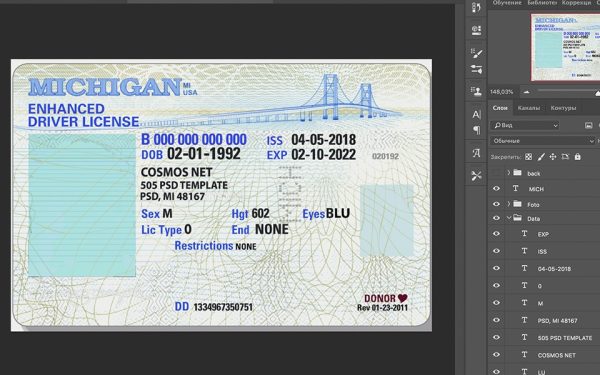 Michigan driver license Psd Template | Mr Verify