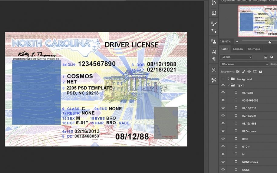 North Carolina driver license Psd Template | Mr Verify