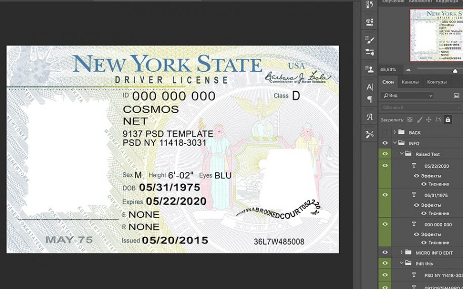New York driver license Psd Template | Mr Verify