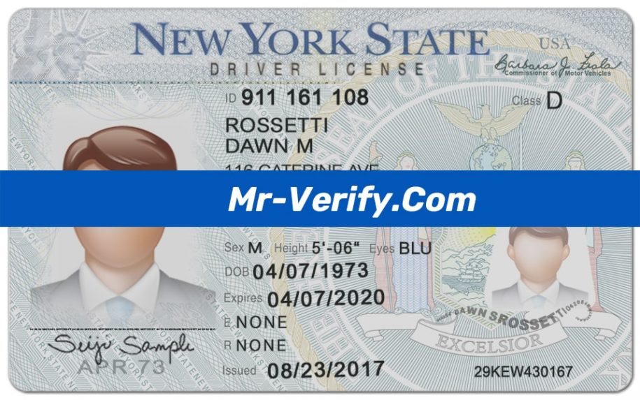 New York driver license Psd Template | Mr Verify