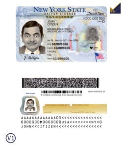 New York Driver License Psd Template | Mr. Verify