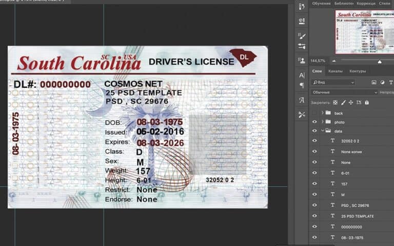 South Carolina Driver License PSD Template