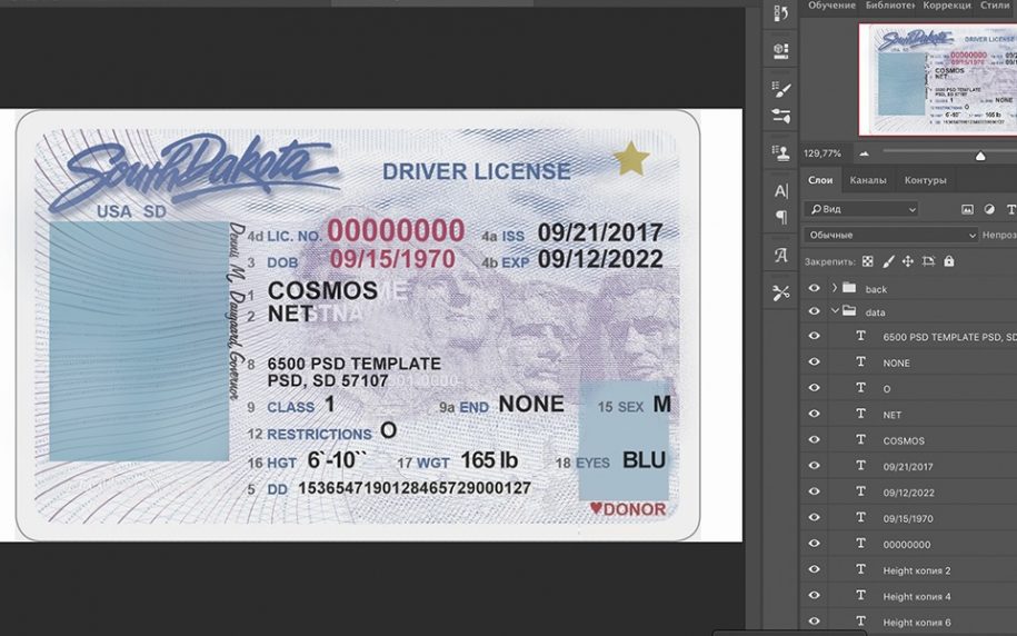 South Dakota driver license Psd Template | Mr Verify
