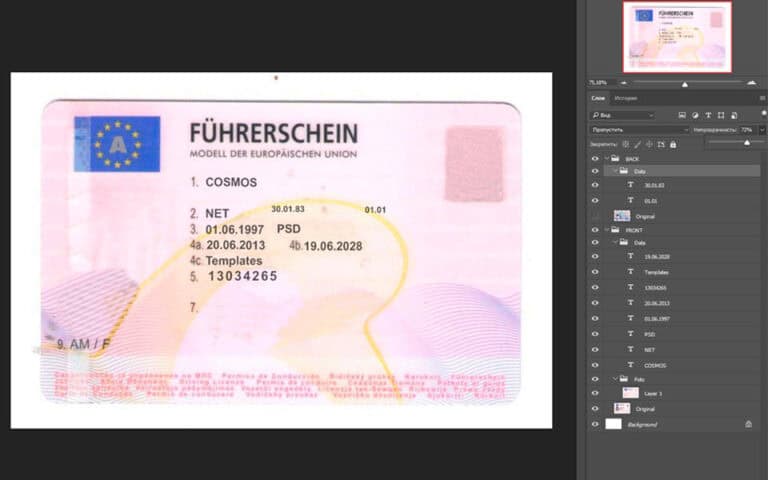 Austria Driver License Psd Template