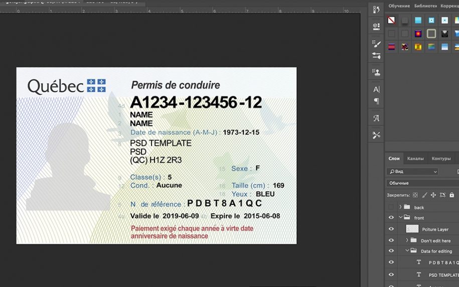 Quebec driver license Psd Template | Mr Verify