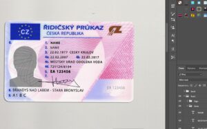 Czech driver license Psd Template | Mr Verify