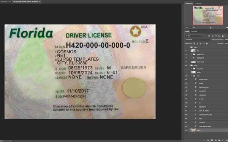 Florida driver license Psd Template | Mr Verify