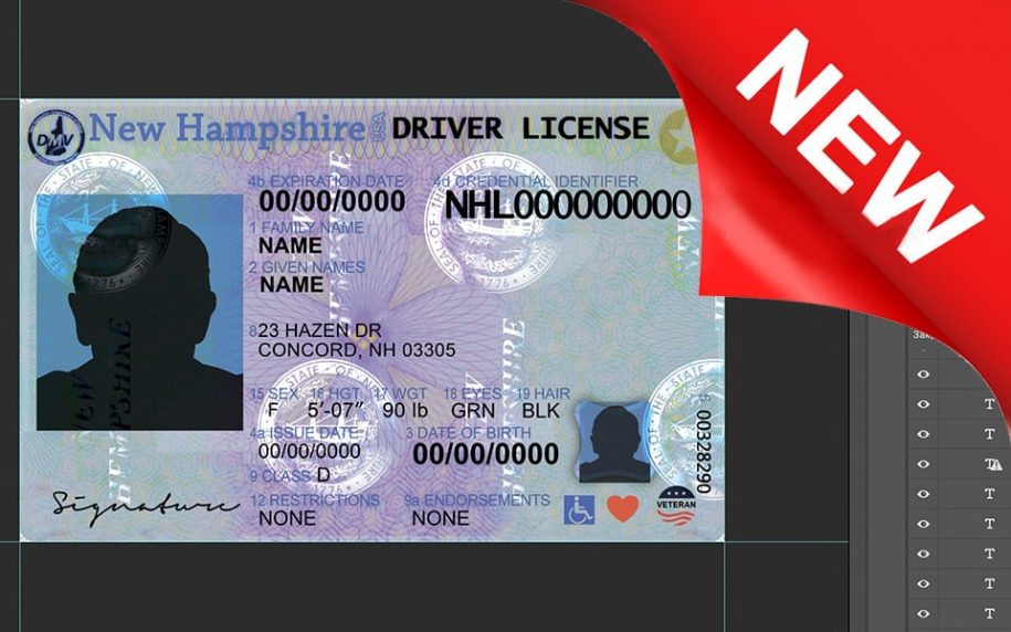 New Hampshire driver license Psd Template | Mr Verify