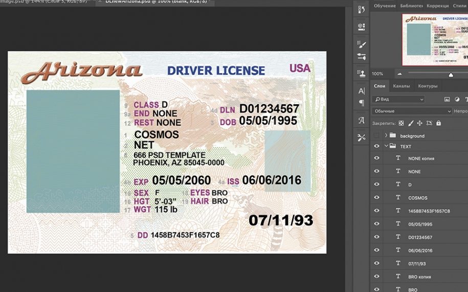drivers license psd template | Mr Verify