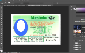 Manitoba Canada Driver License PSD Template Free Download | Mr. Verify