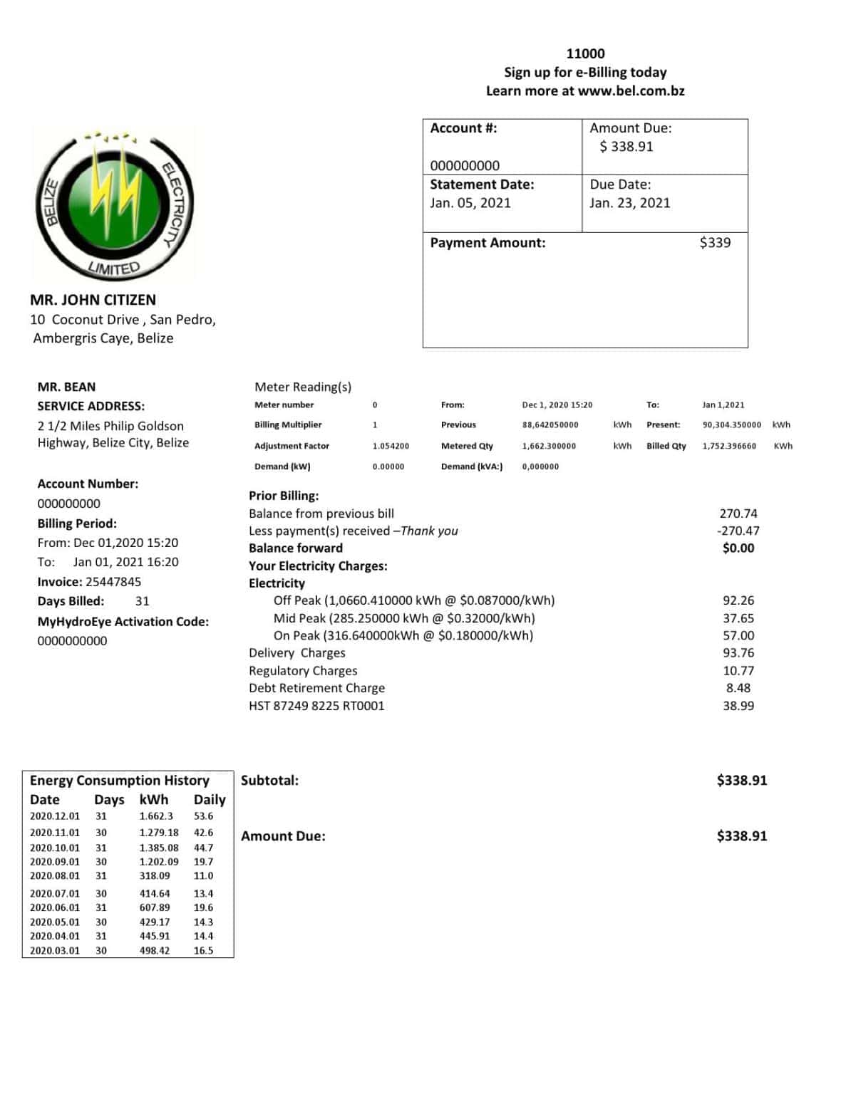 Belize Electricity Limited Electricity Utility Bill Template In Word ...