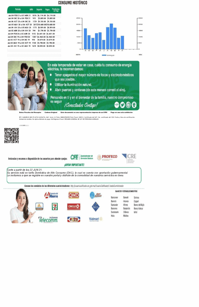 Mexico Federal Electricity Commission (CFE) Utility Bill Template In ...