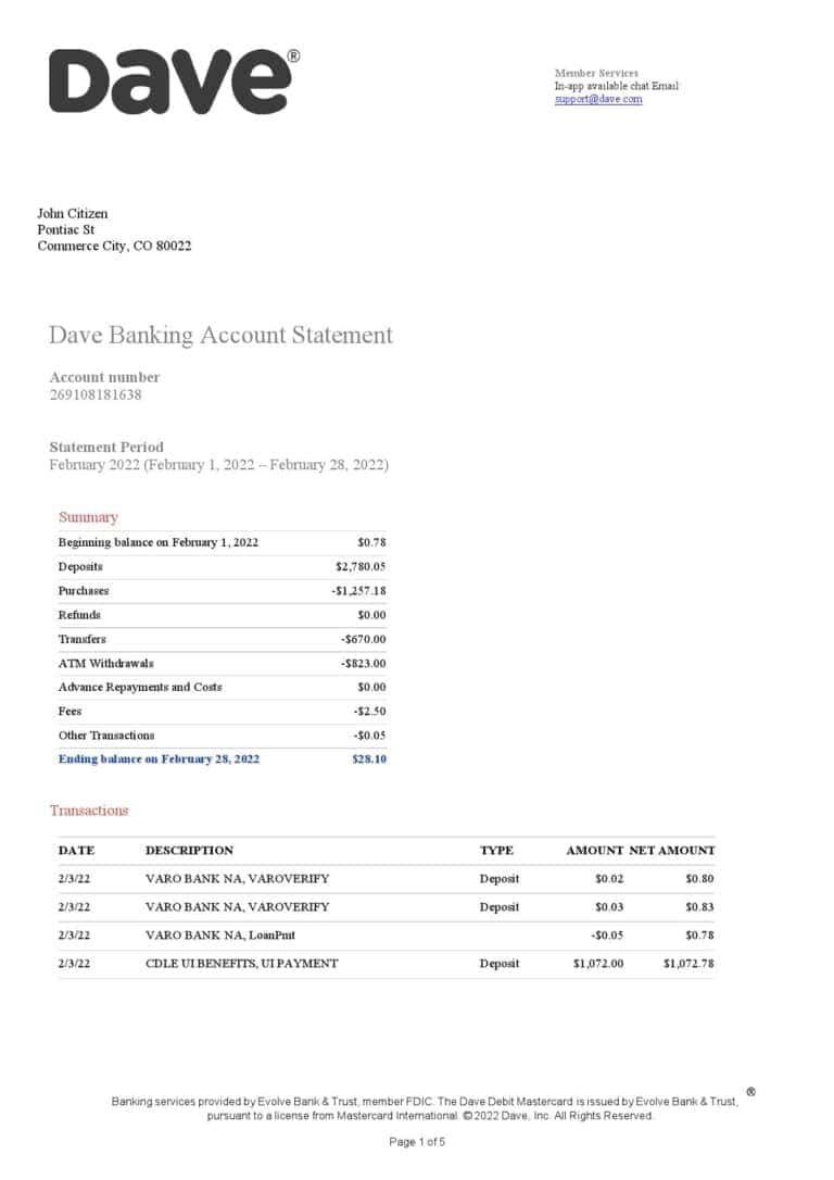 USA Dave Bank Account Statement, Word And PDF Template, 5 Pages