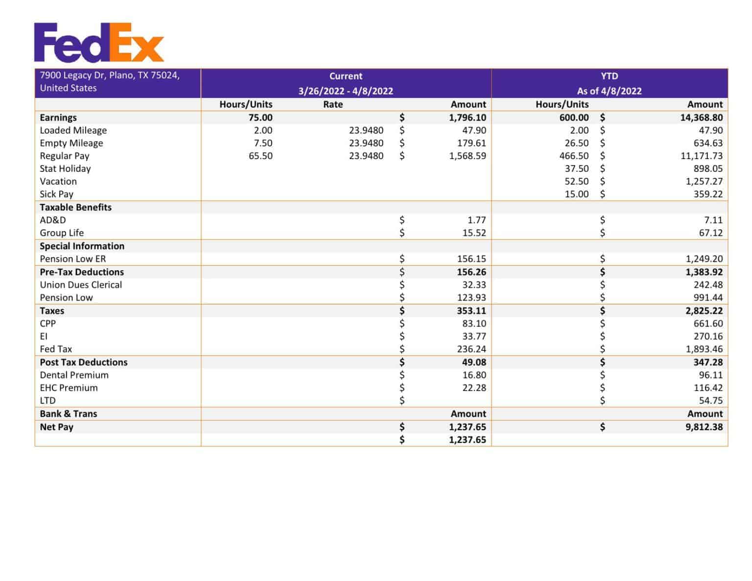 USA Fedex Transportation Company Pay Stub Word And PDF Template