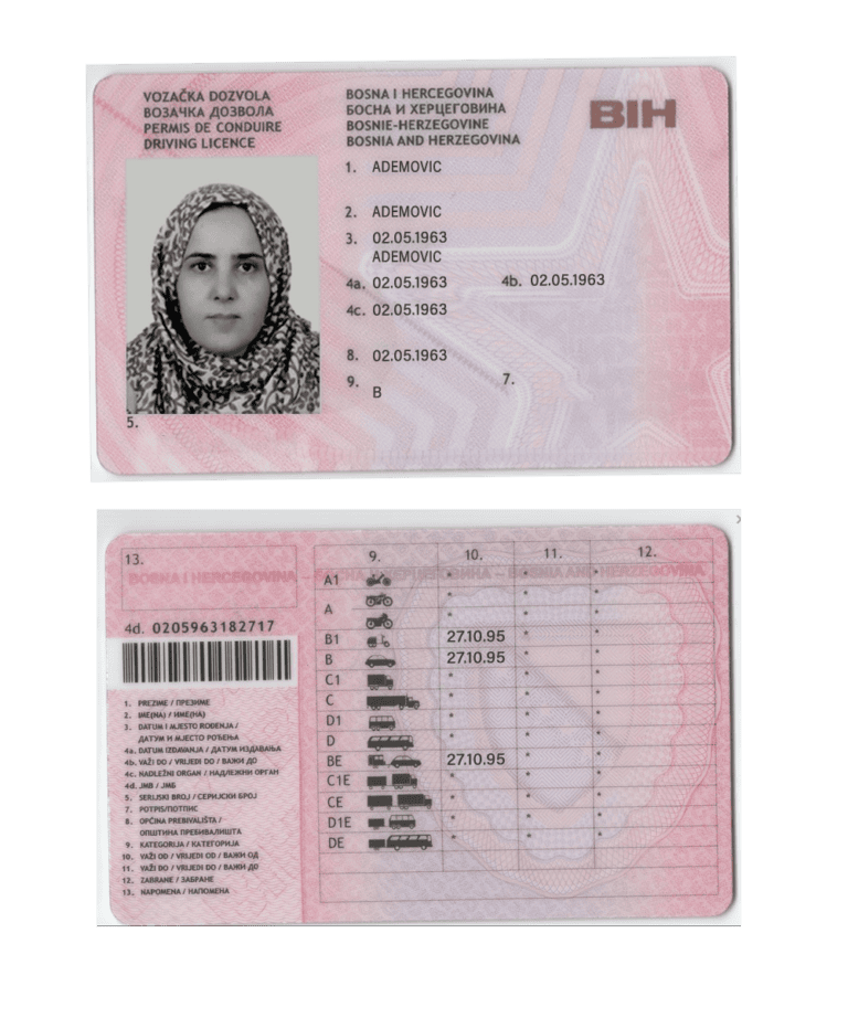 Drivers License PSD Template | Editable Driving License