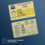 Drivers License PSD Template | Editable Driving License