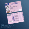Drivers License PSD Template | Editable Driving License