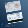 Drivers License PSD Template | Editable Driving License