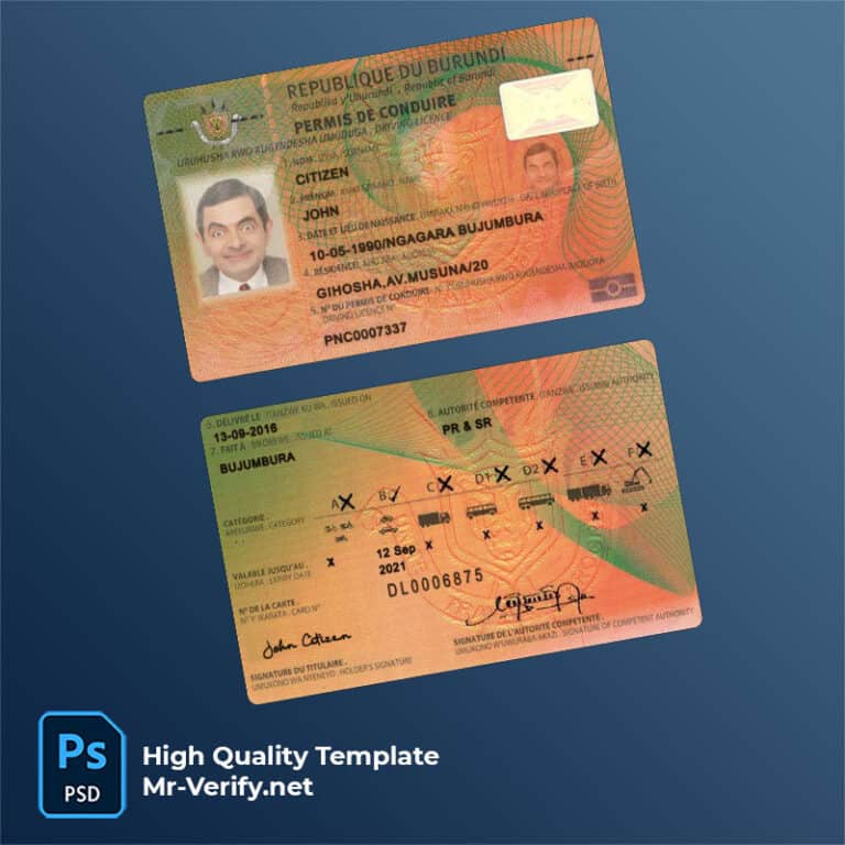Drivers License PSD Template | Editable Driving License