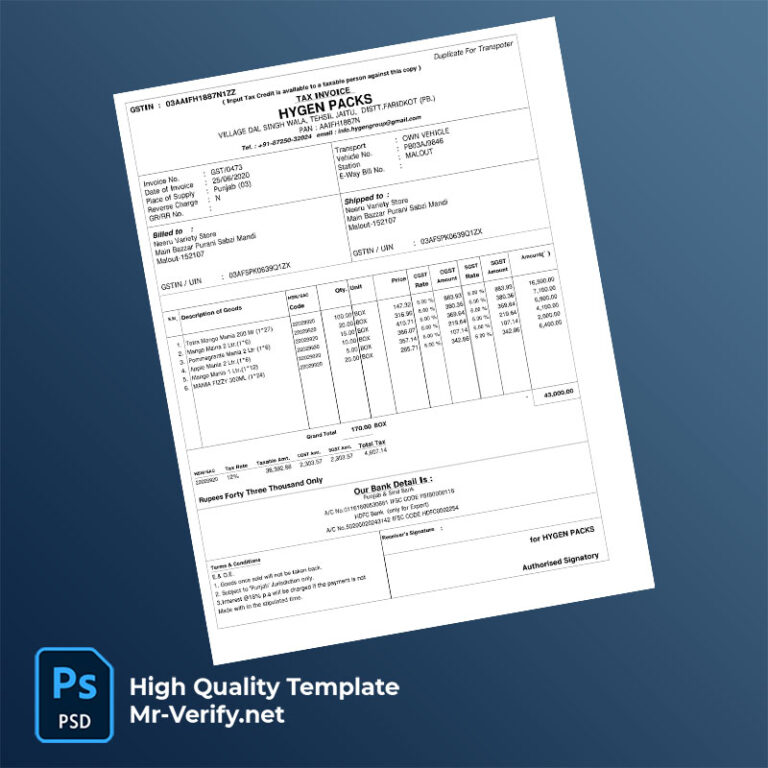 India Hygen Packs Editable Tax Invoice Template In Word And PDF Formats