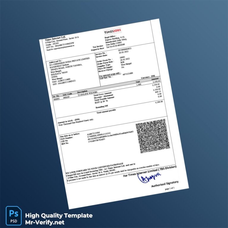 India Times Internet Invoice Template In Word And PDF Formats