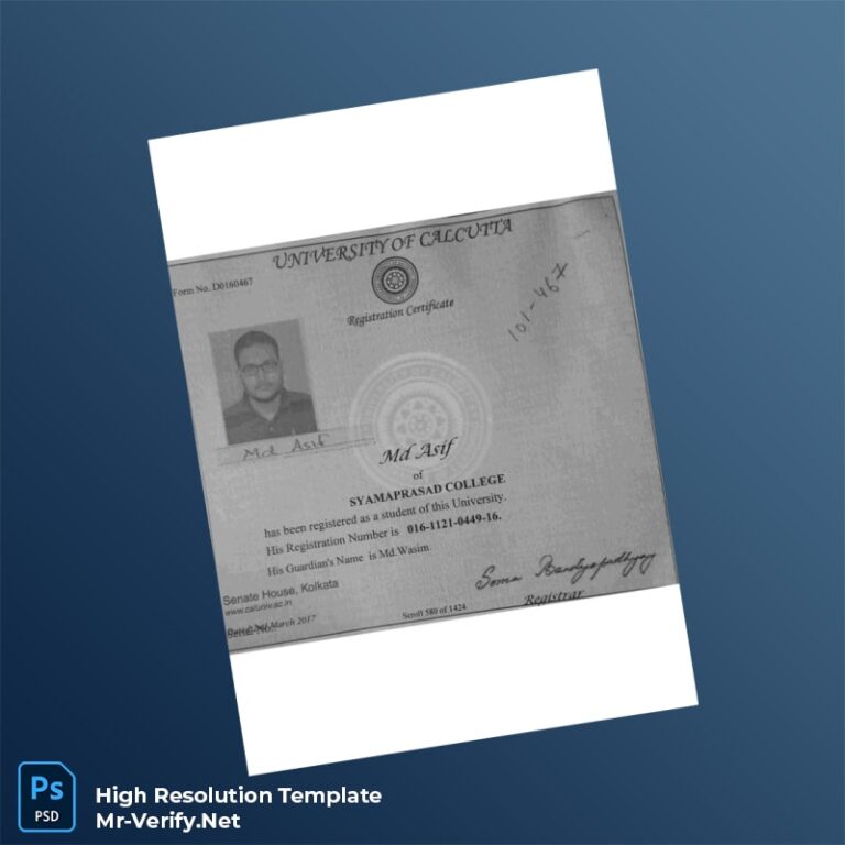 Editable India University Registration Certificate Word And Pdf Template