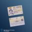 High-Res Brunei Travel Visa Template - Editable